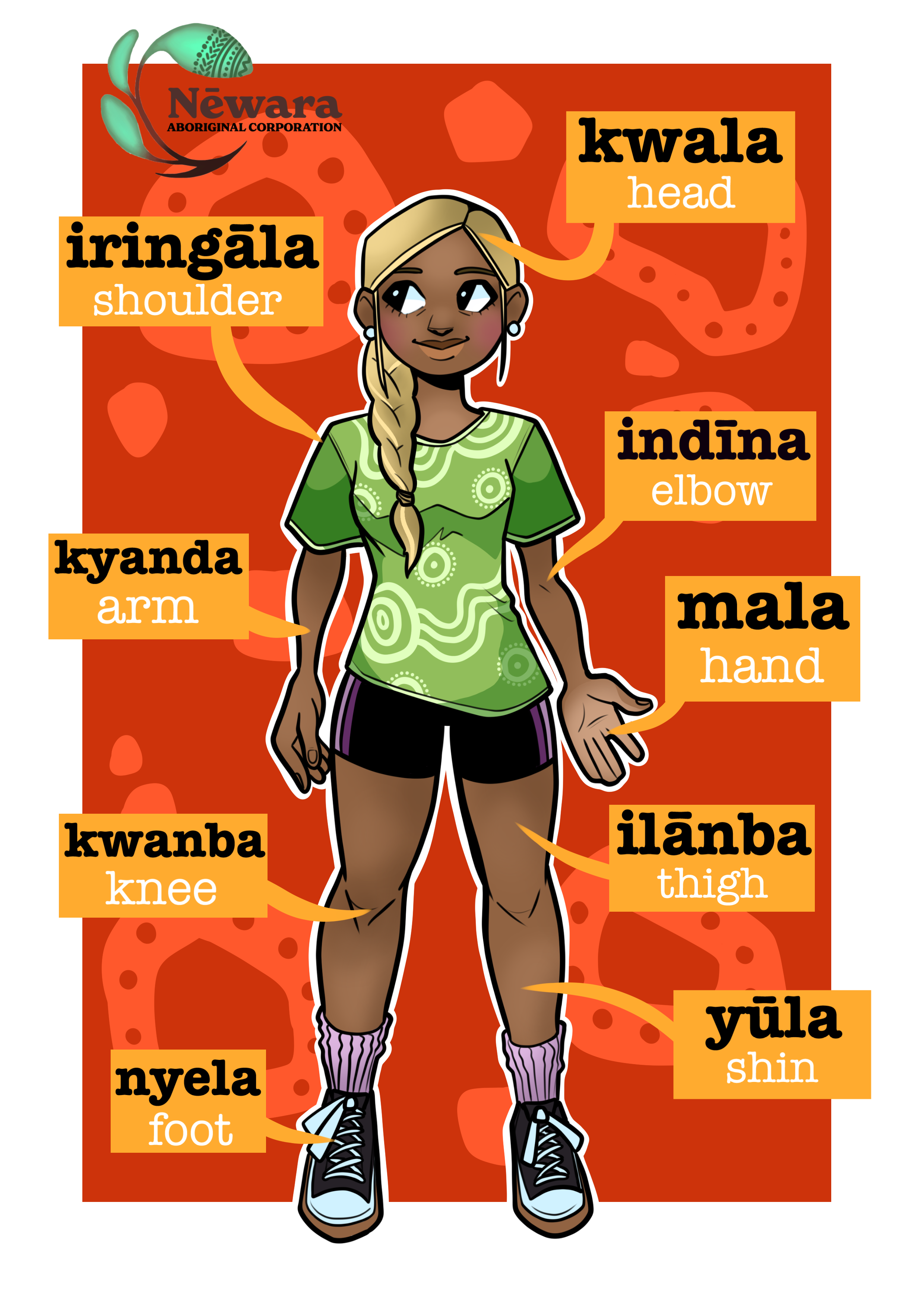 Anaiwan Body Parts Poster | Nēwara Aboriginal Corporation