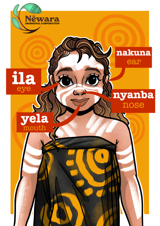 Store | Nēwara Aboriginal Corporation